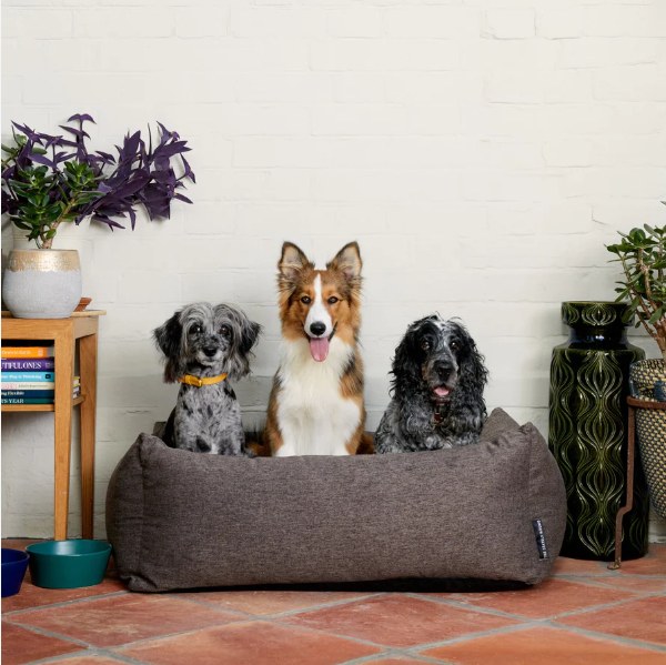 Dogs Beds, Blankets and Comforters – The Dog's Spot